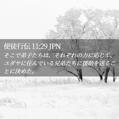 使徒行伝 11:29 JPN - そこで弟子たちは、それぞれの力に